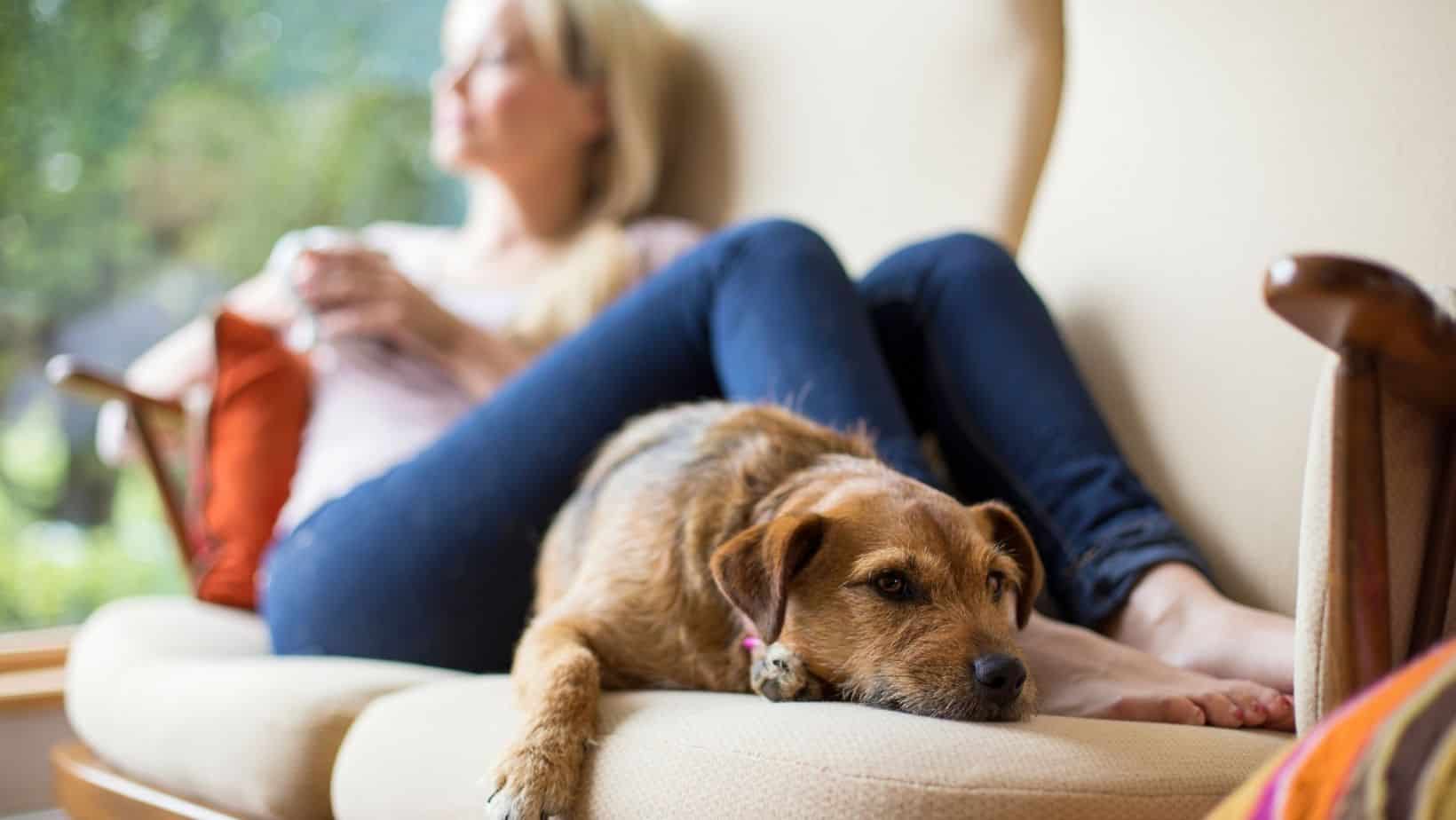 Feeling Self Critical? - 12 Signs You Are Too Critical Of Yourself