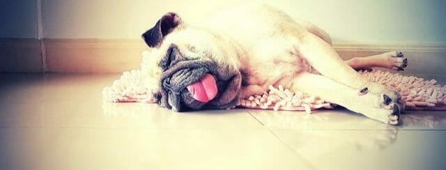 Why Am I So Lazy? 7 Reasons Why and What You Can Do About It