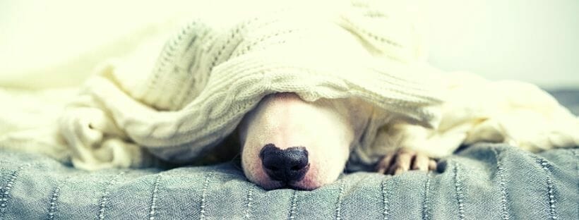 50 Introvert Quotes To Make You Love Solitude Even More