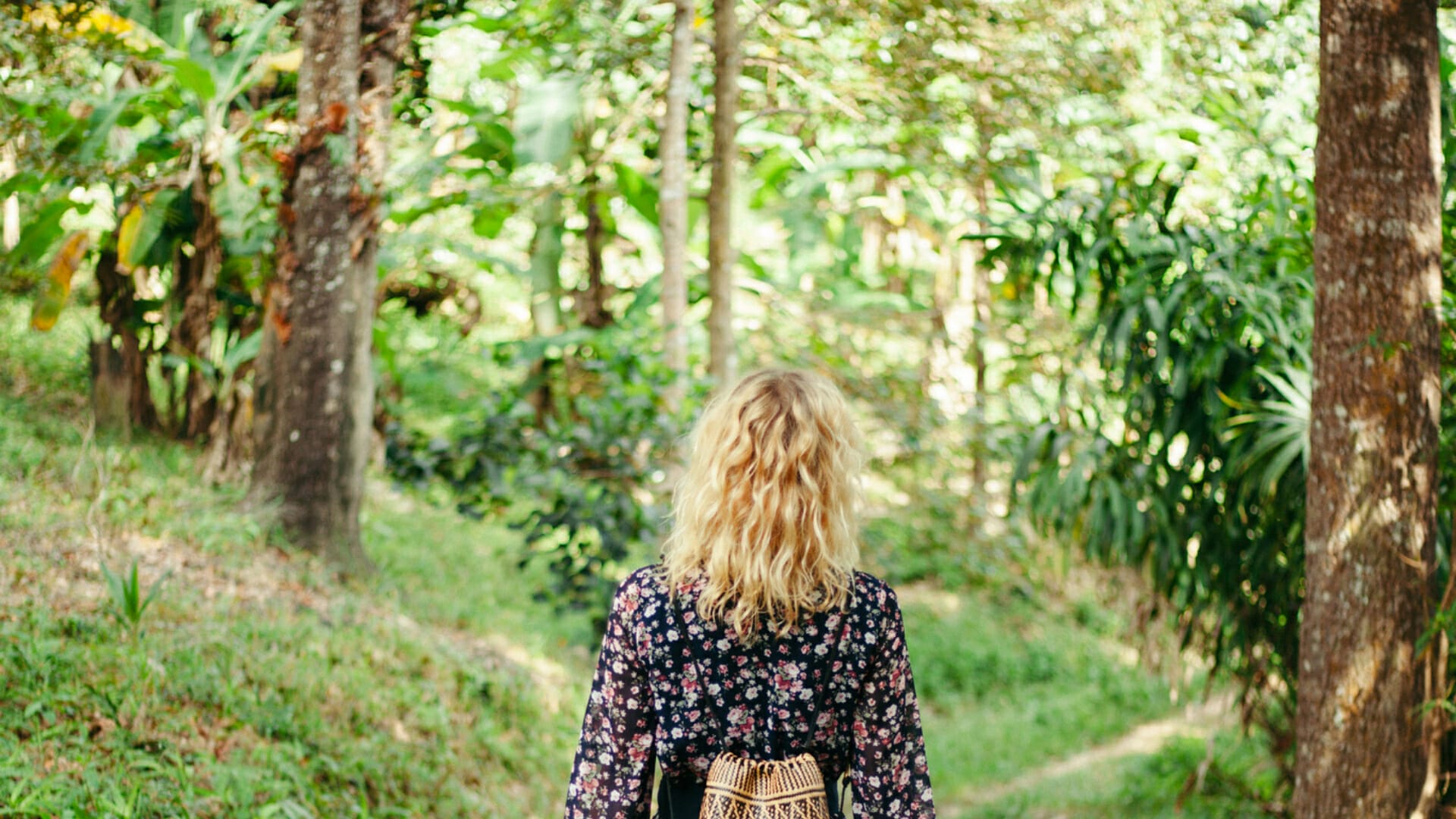 50 Tree Quotes - Embracing The Wisdom Of Trees