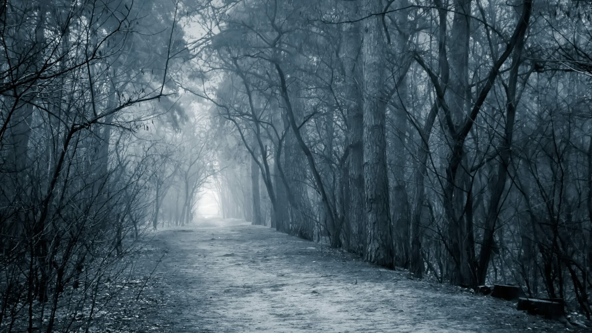 50 Darkness Quotes (Best Ever!)