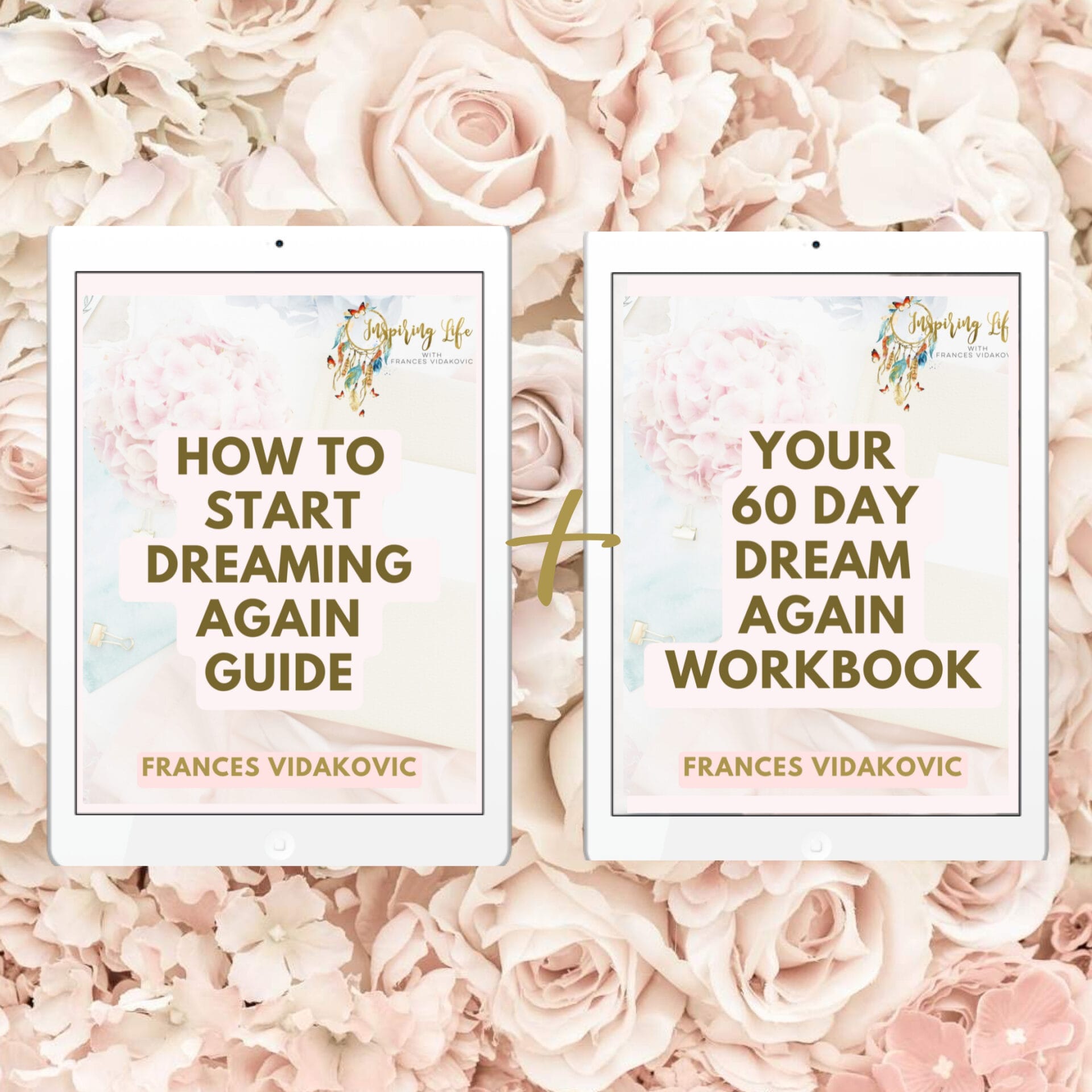 Start Dreaming Again - Bonus Series